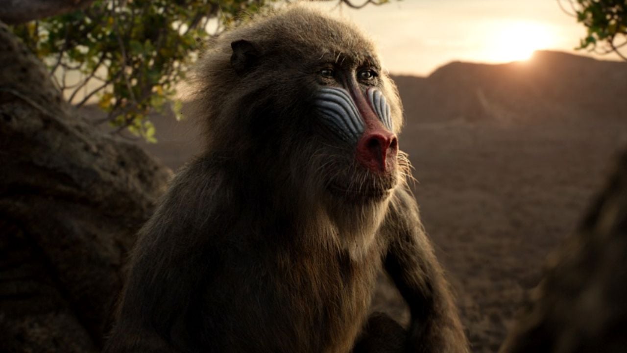 'El Rey León': La trágica historia de Rafiki y cómo él y Mufasa se ...