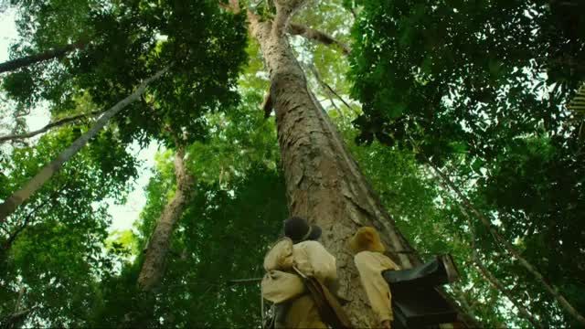 Foto de la película Amazon Adventure - Foto 5 por un total de 11 ...