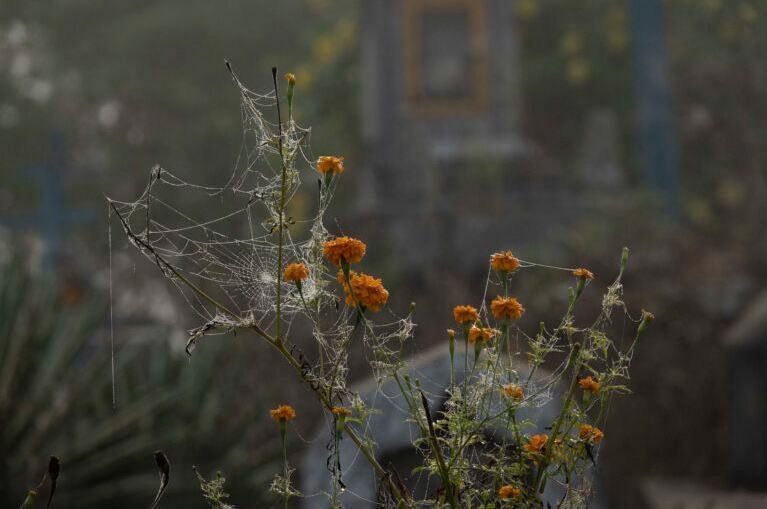 Foto de la película Hilando sones - Foto 8 por un total de 9 - SensaCine.com.mx