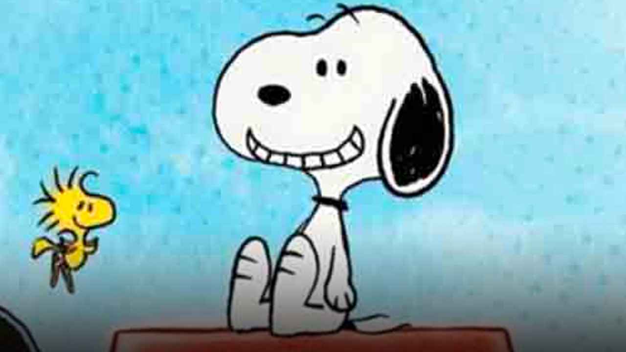 El perrito que se hizo viral por ser idéntico a Snoopy (morirás de ...