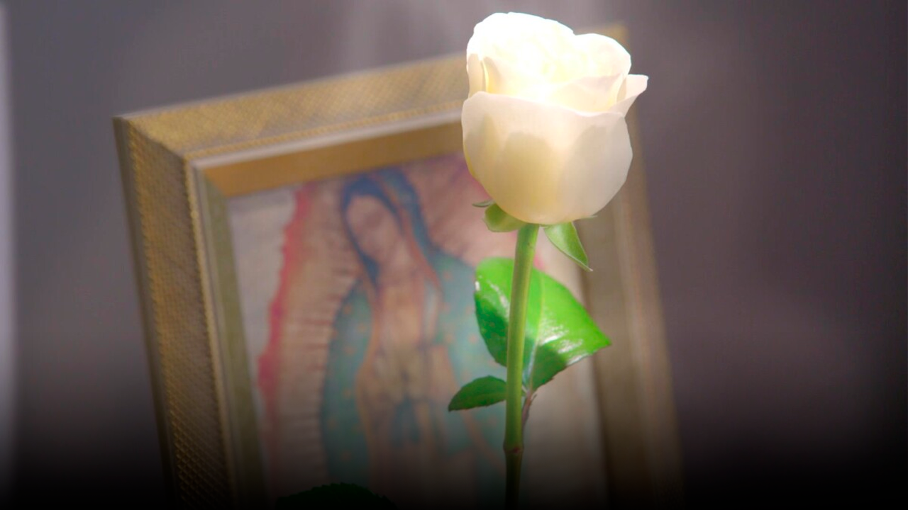 'La rosa de Guadalupe': esta es la fecha de estreno para la temporada ...