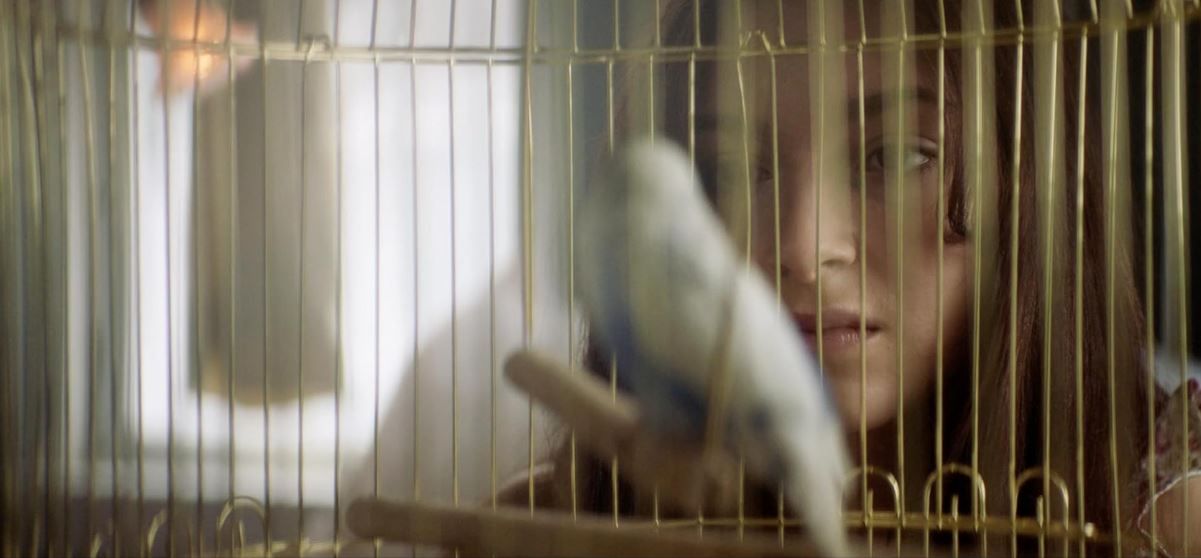 Foto de la película Nobody's Home - Foto 7 por un total de 9 - SensaCine.com.mx