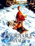 Cartel de la película De vuelta a casa. Un viaje increíble - Foto 2 por ...
