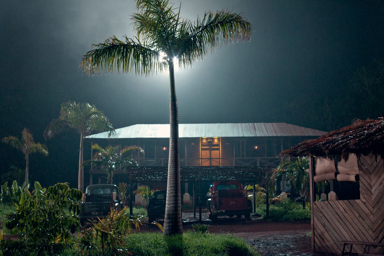 Foto de la película Palmeras en la nieve - Foto 39 por un total de 43 ...