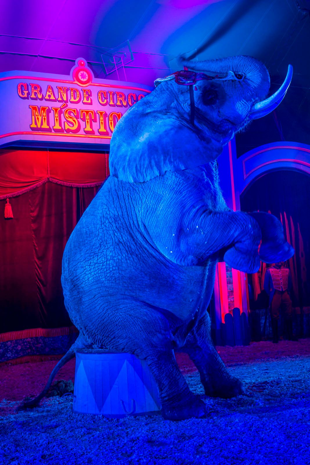 Foto de la película O grande circo místico - Foto 13 por un total de 31 ...