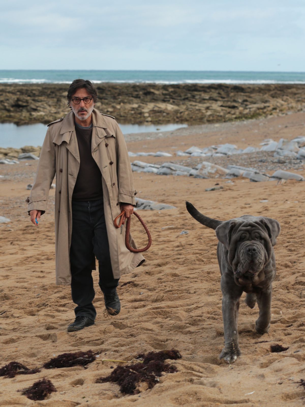 Cartel de la película Mi perro Tonto - Foto 12 por un total de 12 ...