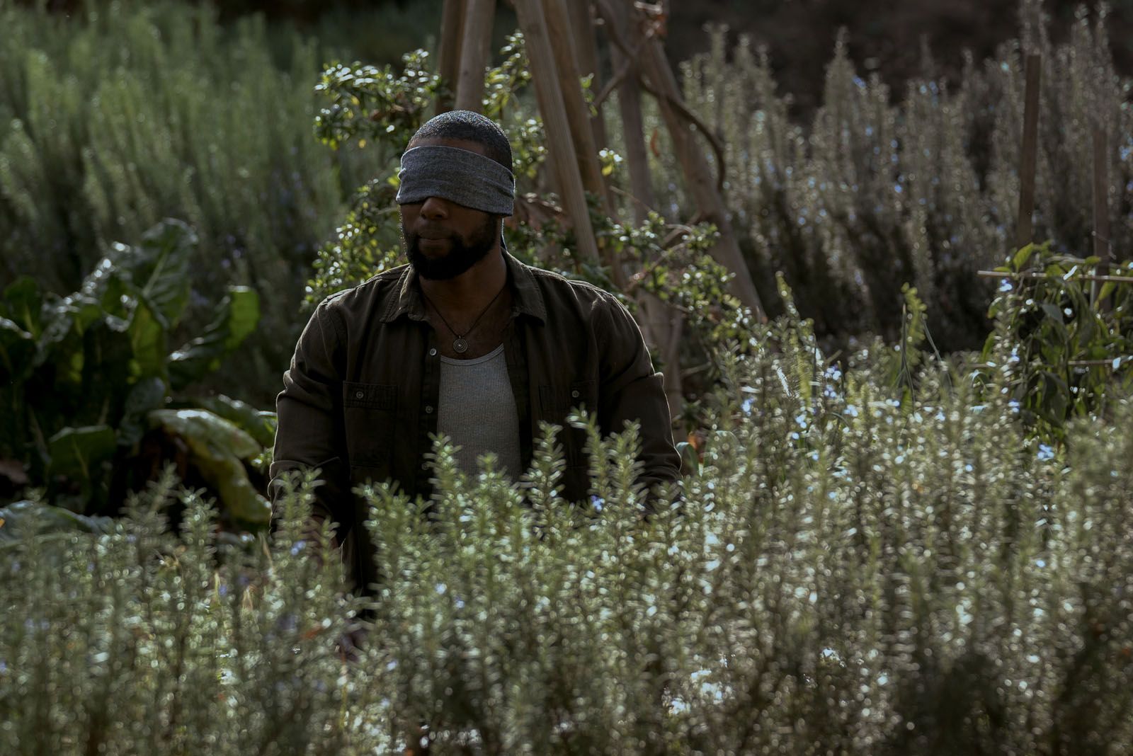 Foto de la película Bird Box: A ciegas - Foto 16 por un total de 21 ...