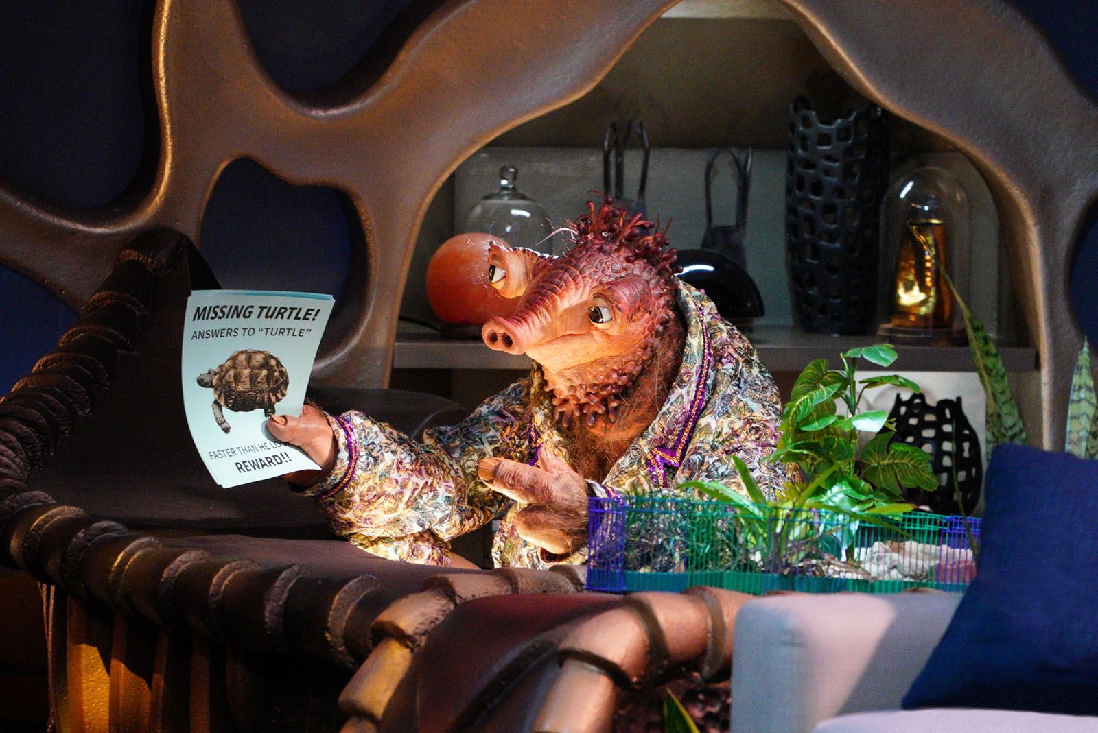 Llamando a Ned : Llamando a Ned : Foto - Foto 16 sobre 19 - SensaCine ...