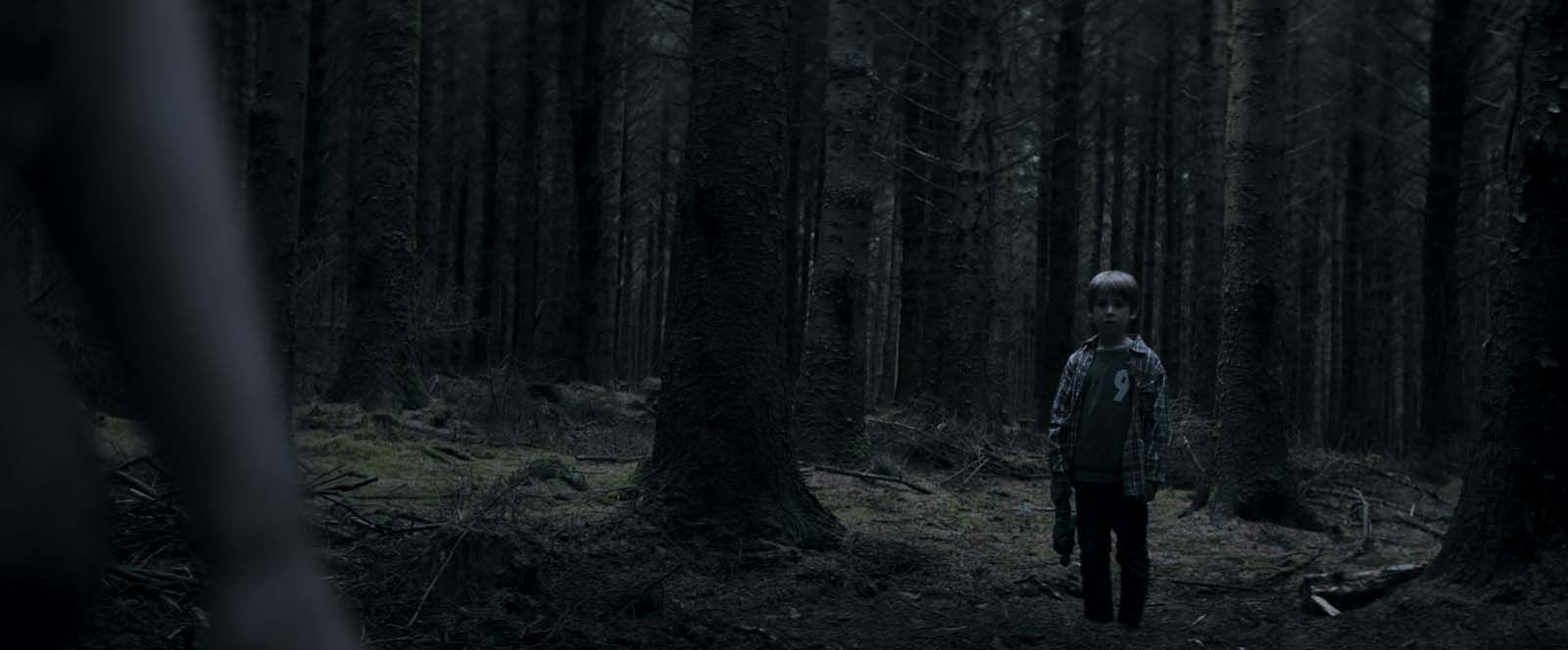 Foto de la película El bosque maldito - Foto 2 por un total de 36 - SensaCine.com.mx