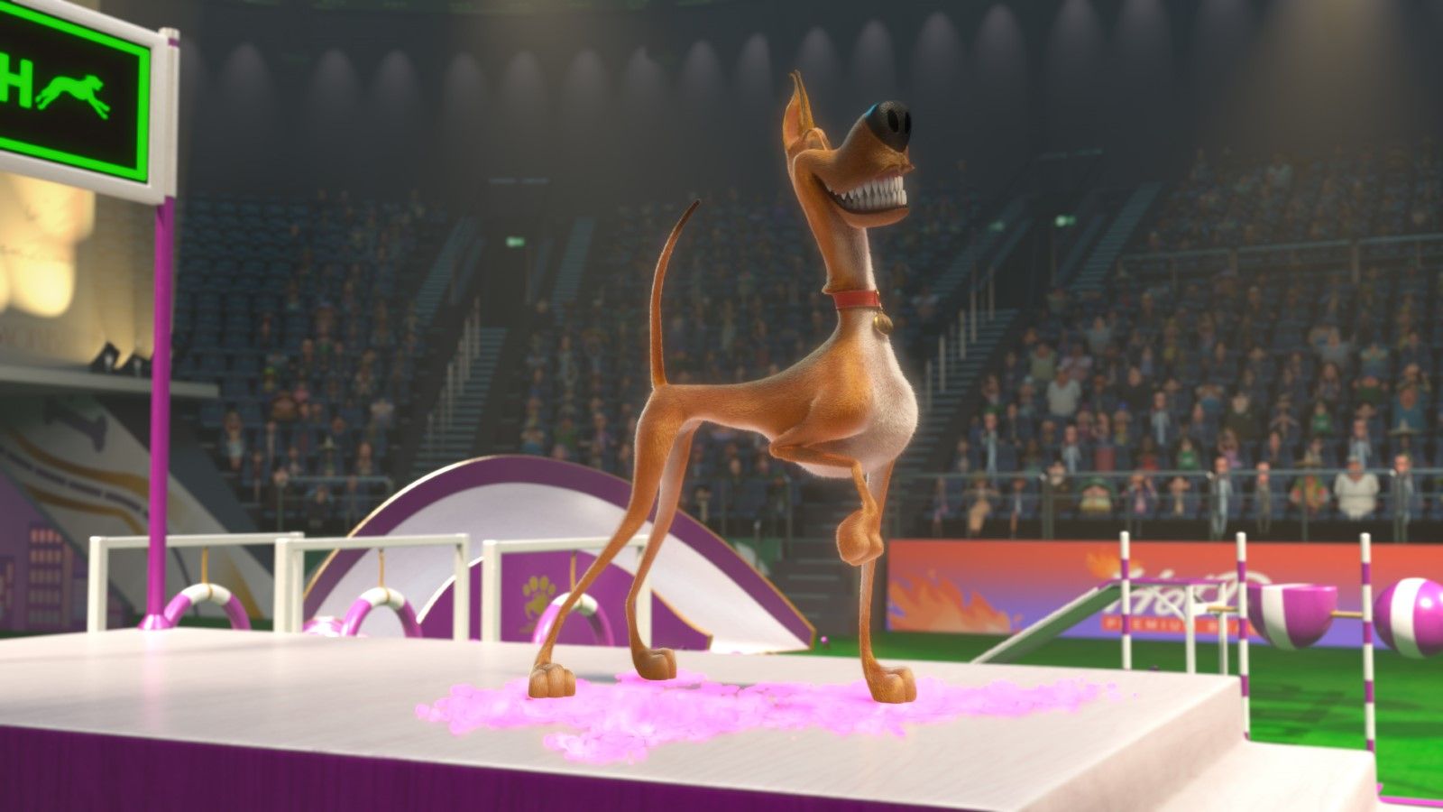 Foto de la película Marmaduke - Foto 13 por un total de 39 - SensaCine ...