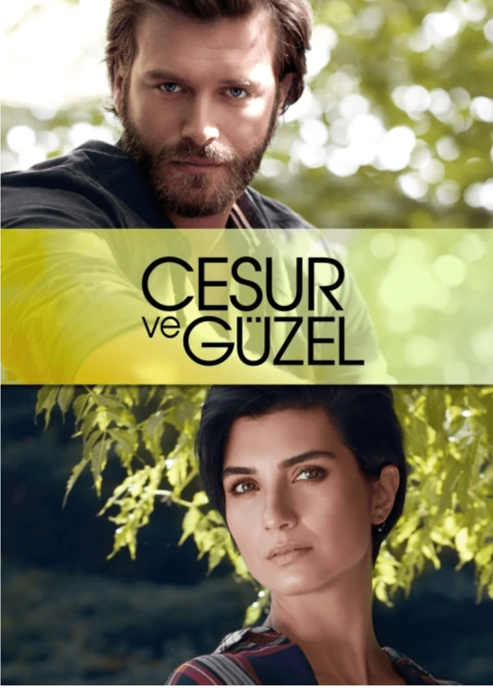 Amor Valiente - Serie 2016 - SensaCine.com.mx