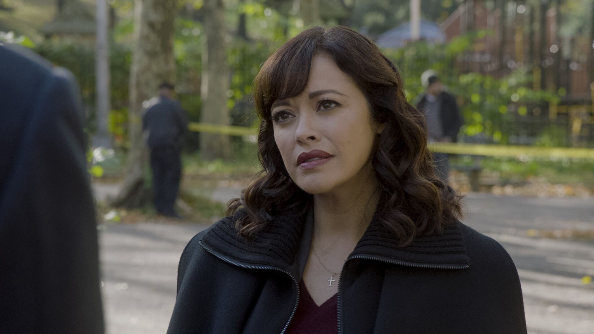 Blue Bloods : Blue Bloods : Foto - Foto 23 sobre 864 - SensaCine.com.mx
