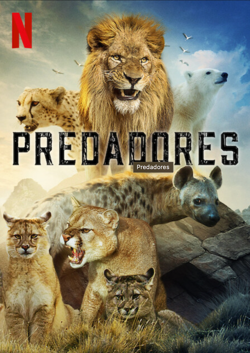 Predadores - Serie 2023 - SensaCine.com.mx