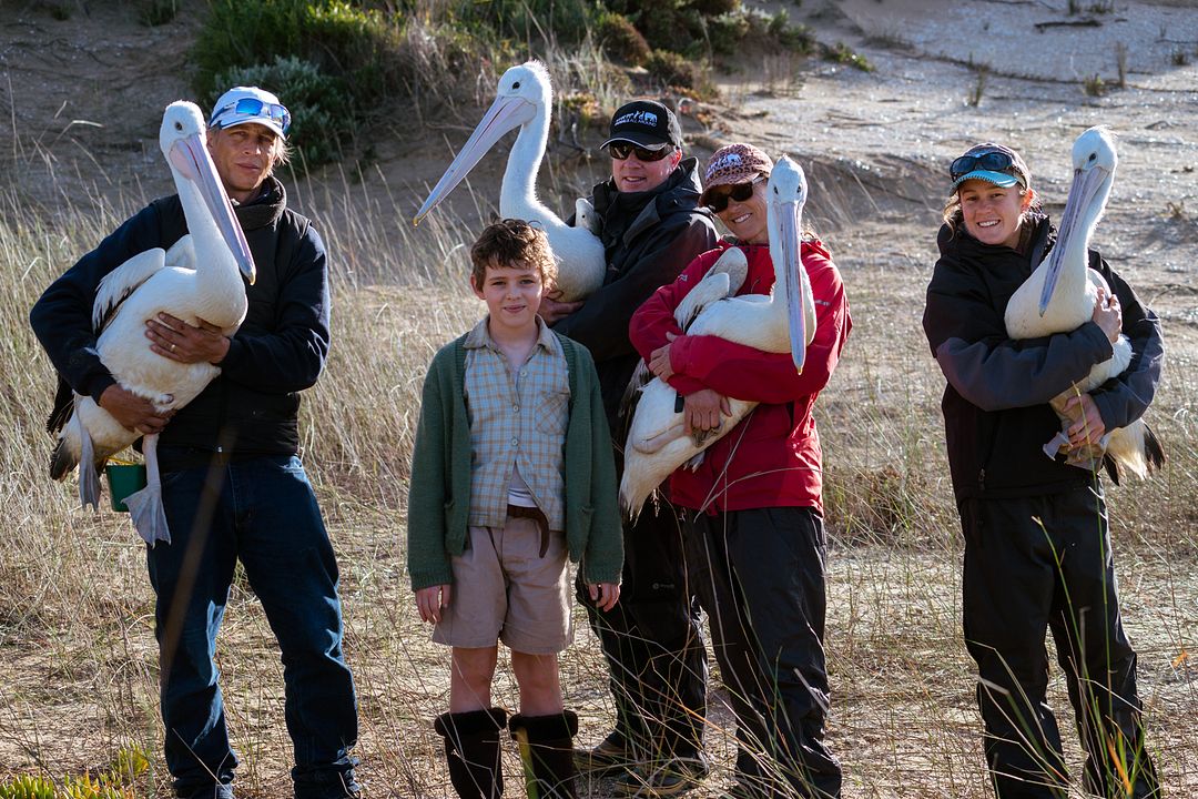 Foto de Finn Little - Foto Finn Little - Foto 16 de 17 - SensaCine.com.mx