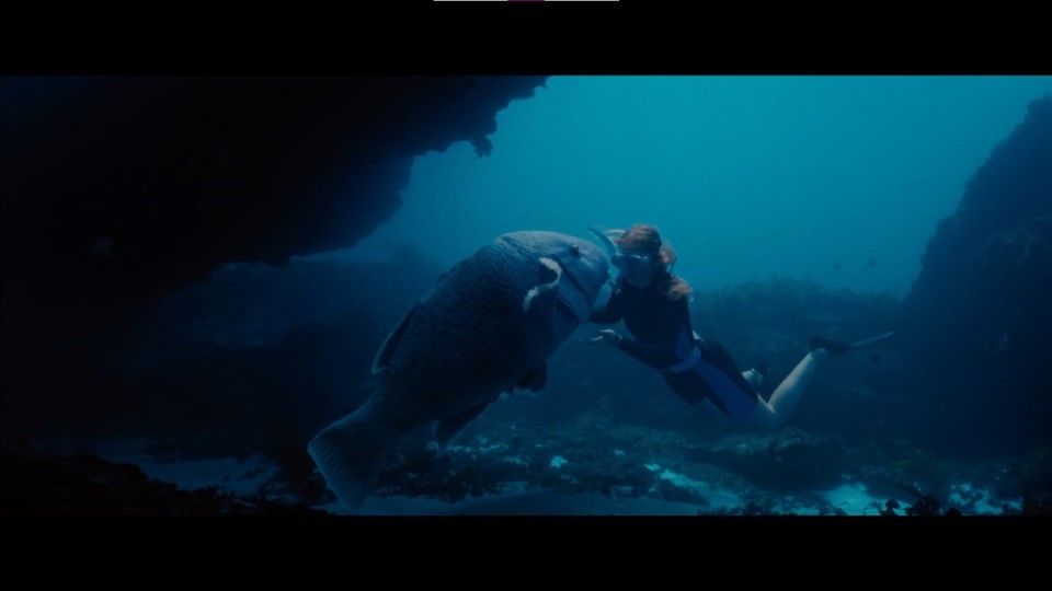 Trailer de la película Blueback - 'Blueback' - Tráiler oficial ...