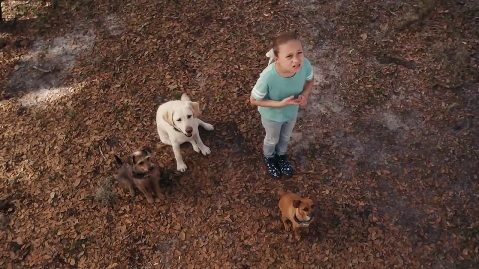 Trailer de la película Cachorros espaciales - 'Cachorros espaciales'- Tráiler oficial doblado al ...